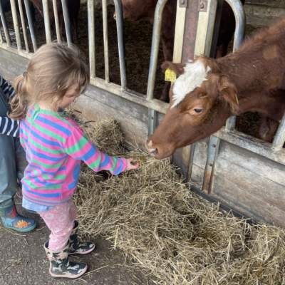 The Farm Holiday Club
